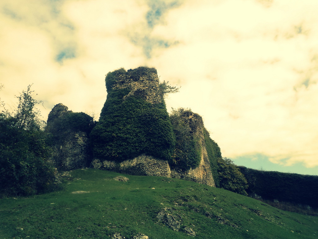 რუხის ციხე